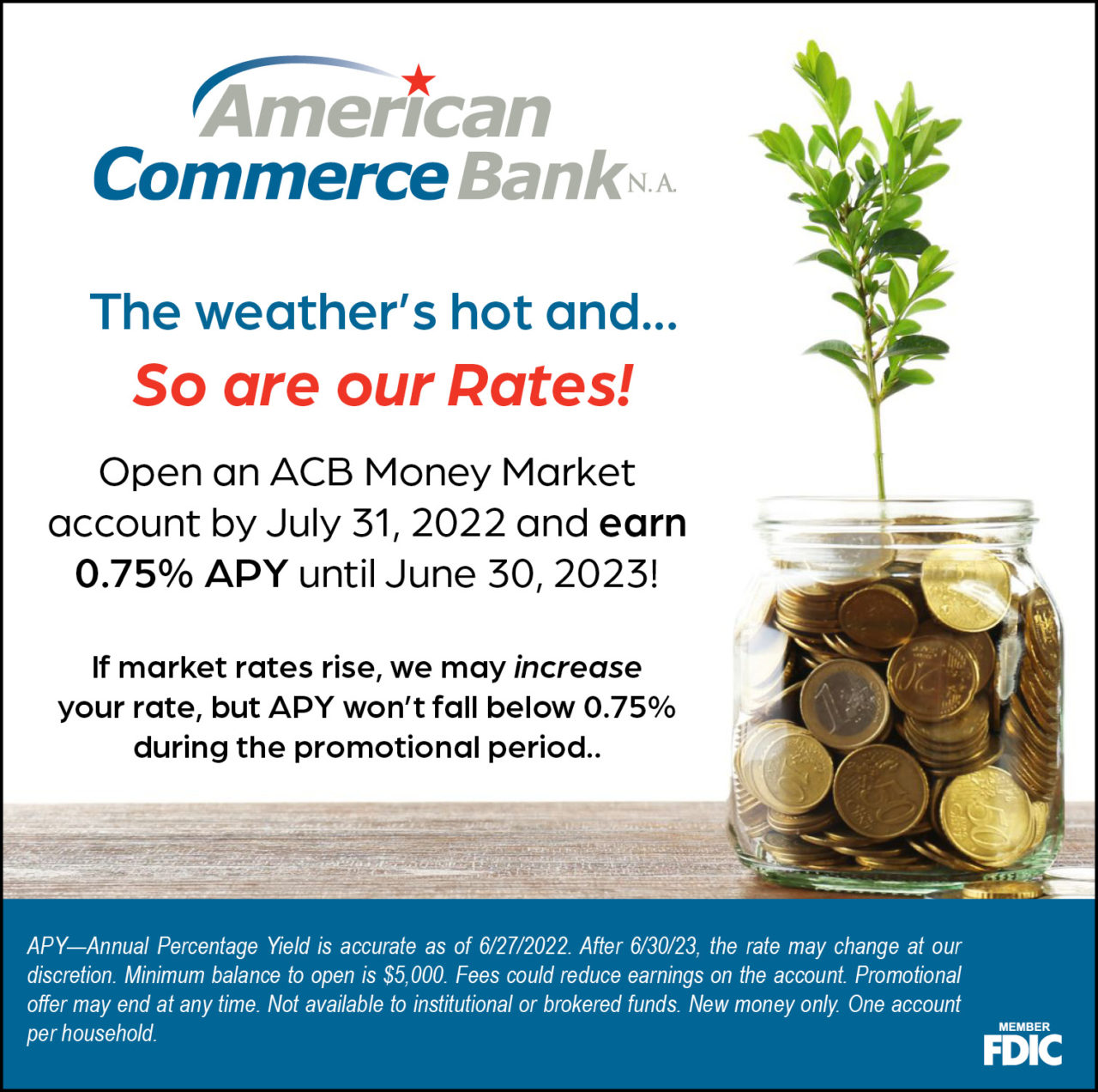 Money Market Services | American Commerce Bank